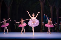 Index of /uploads/images/resize