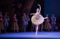 Index of /uploads/images/resize